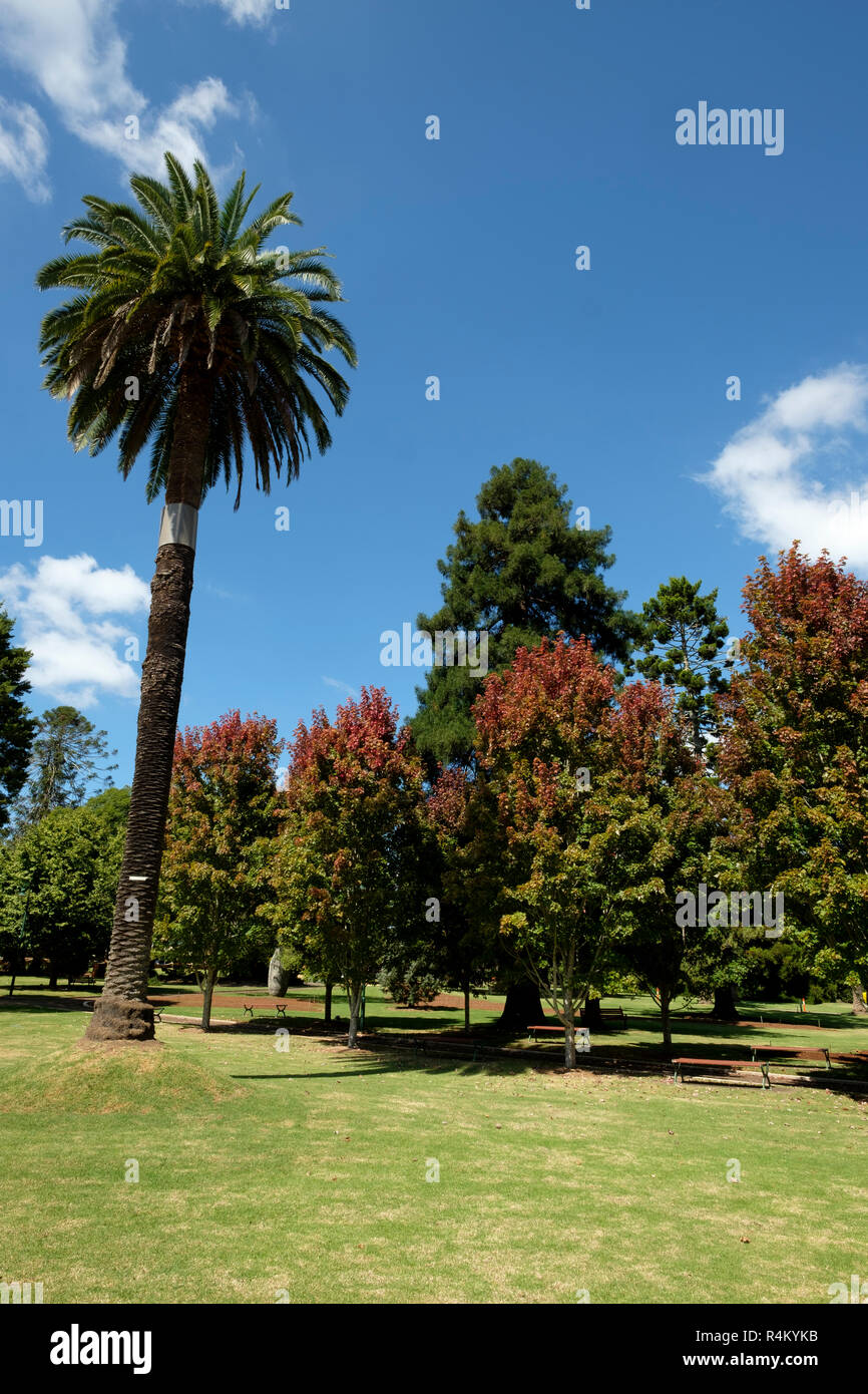 Queens park gardens toowoomba hi-res stock photography and images - Alamy