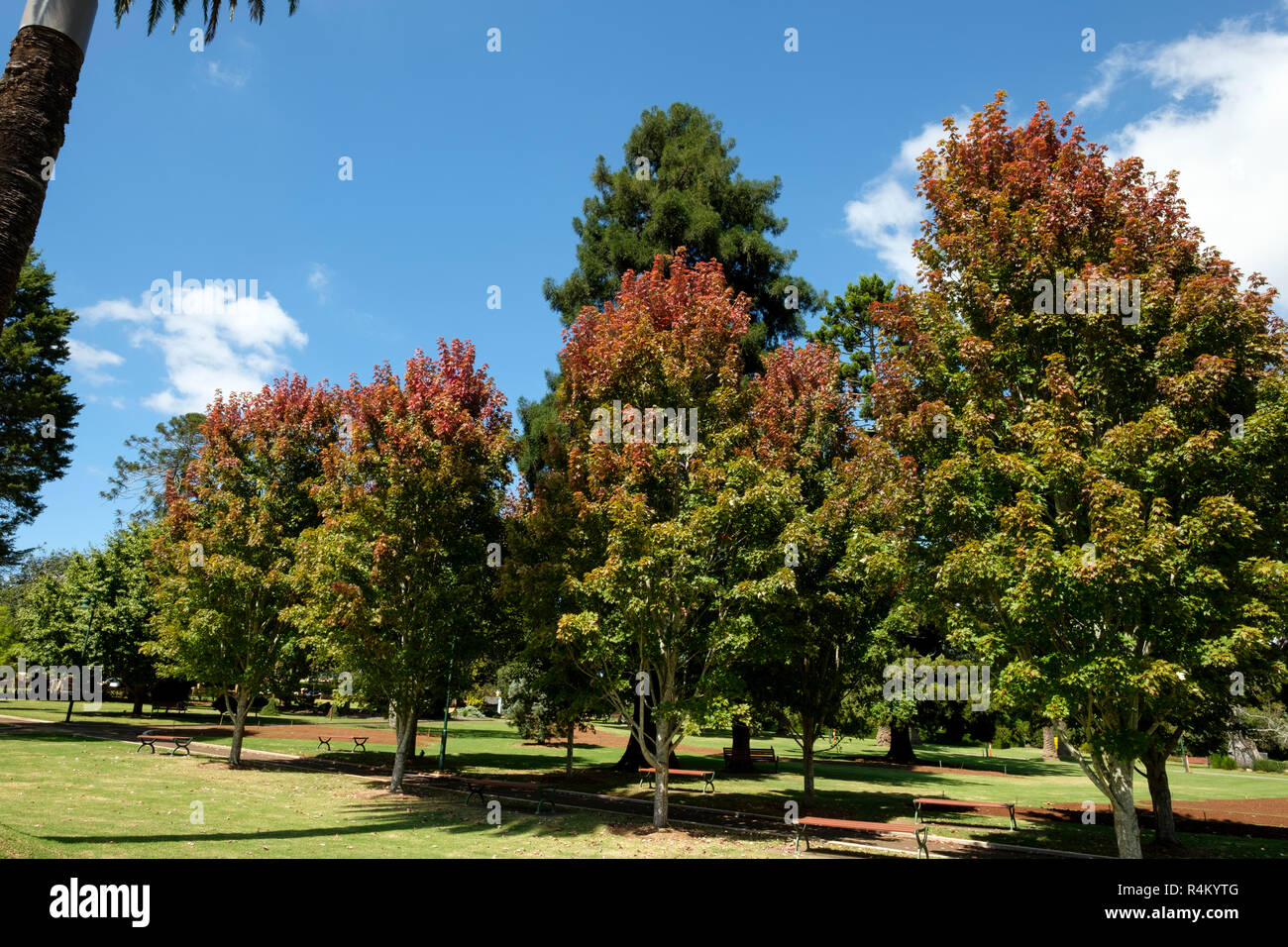 Queens Park Gardens, Toowoomba Stock Photo - Alamy
