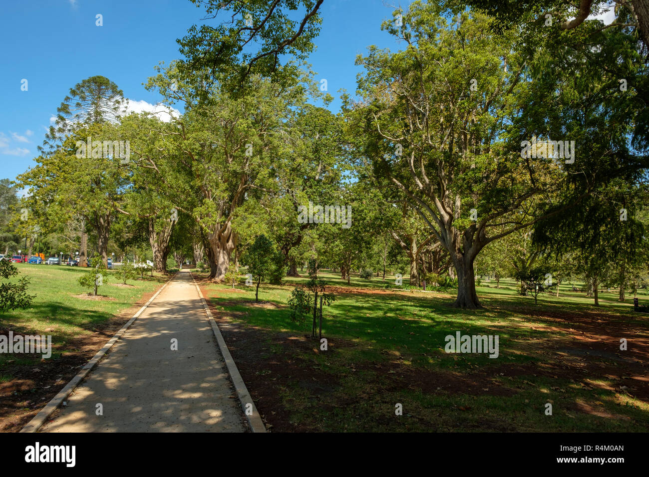 Queens Park Gardens, Toowoomba Stock Photo - Alamy