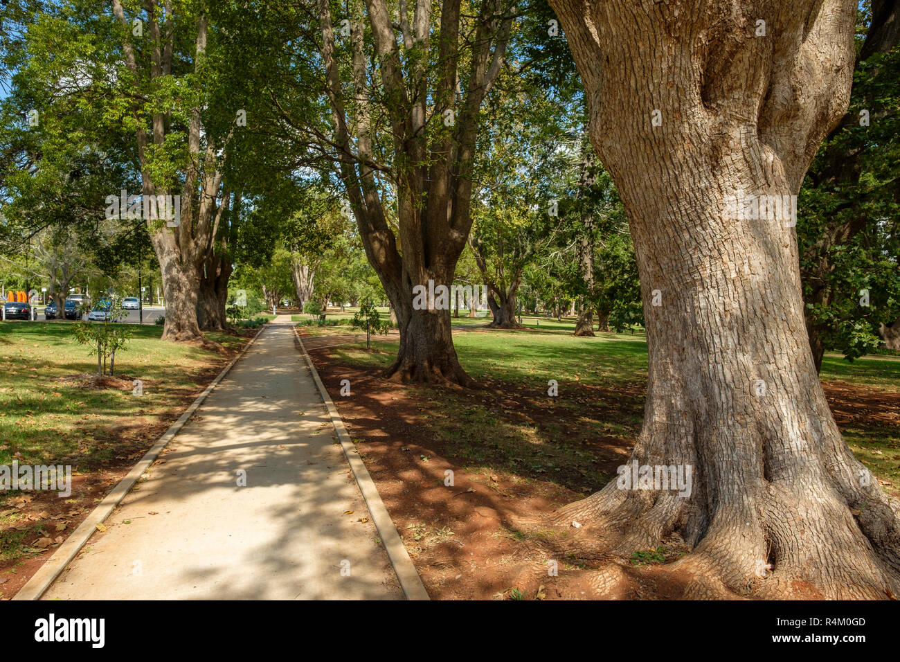 Queens Park Gardens, Toowoomba Stock Photo - Alamy