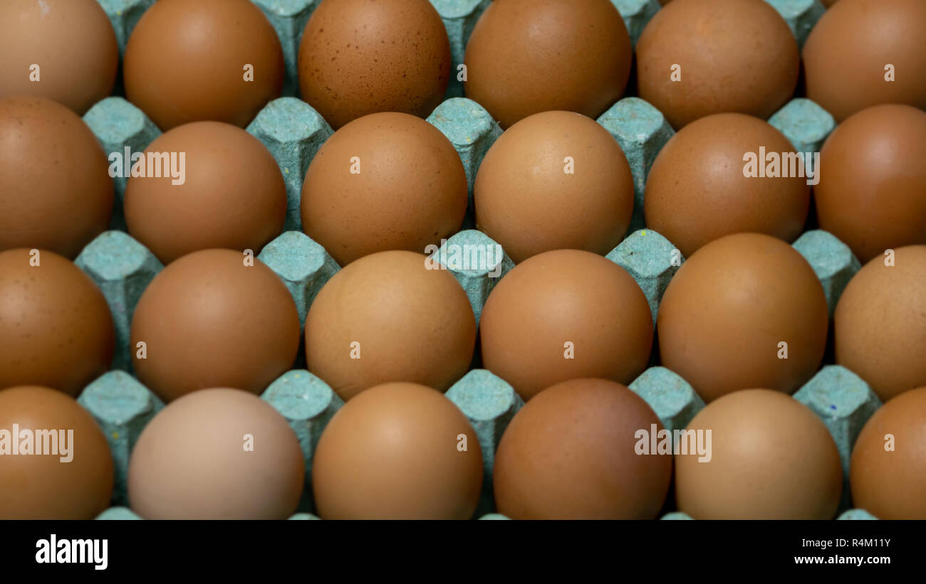 Egg layout hi-res stock photography and images - Alamy