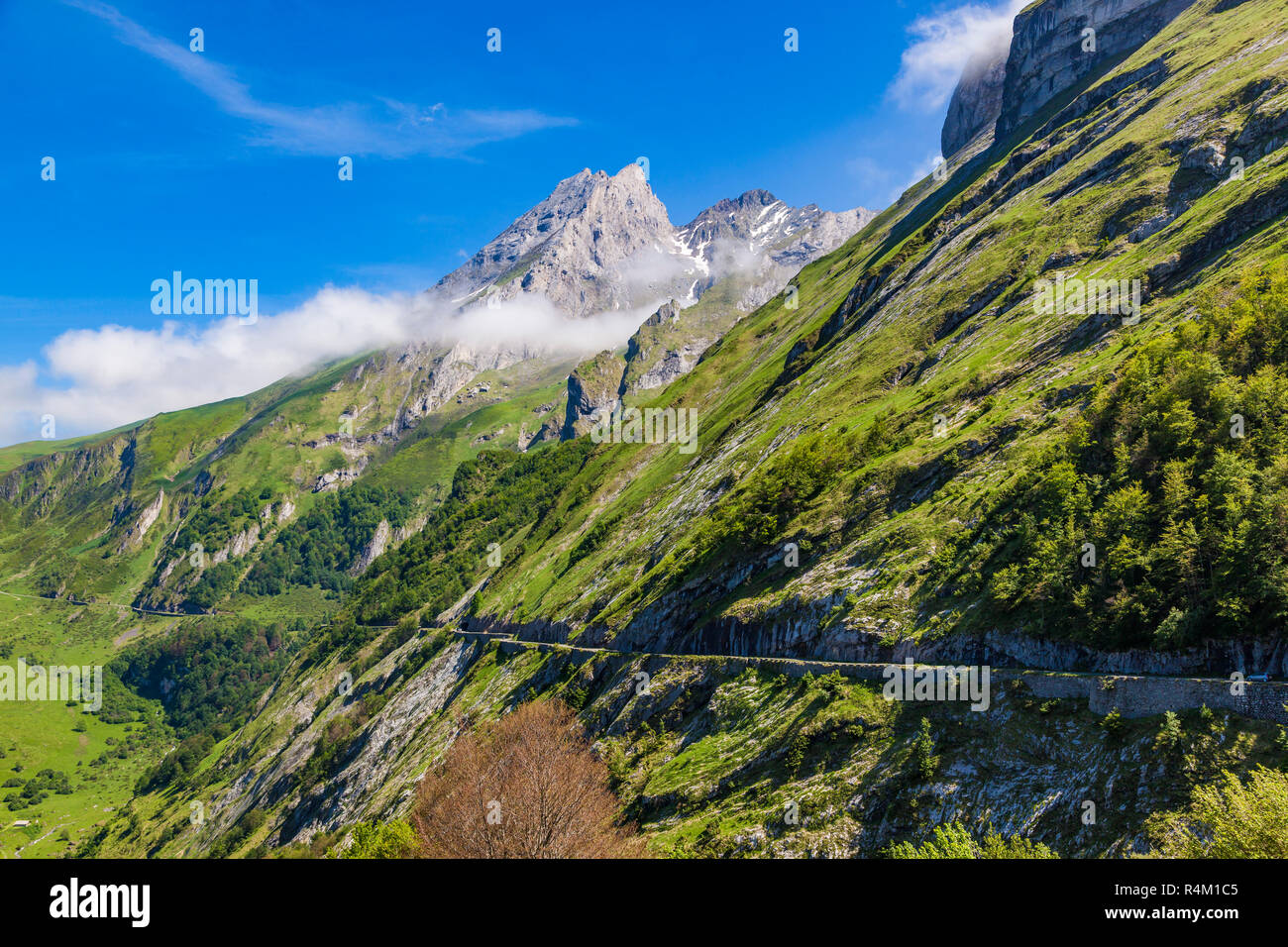 Daubisque hi-res stock photography and images - Alamy