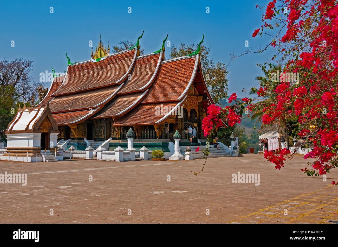 Wat Xieng Thong Pagoda built in the 1500's by King Setthathirath with ...
