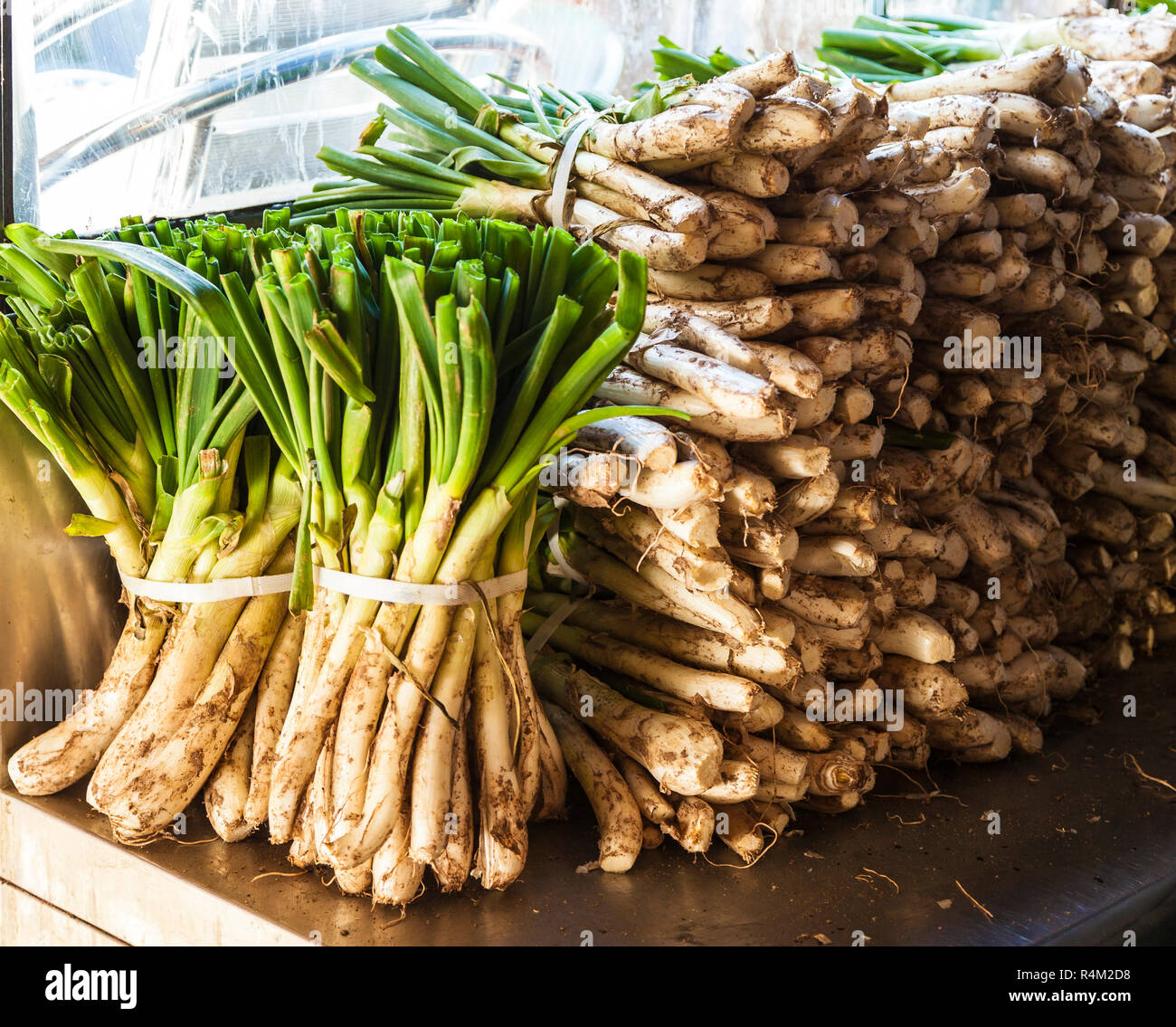 Calcots hi-res stock photography and images - Alamy