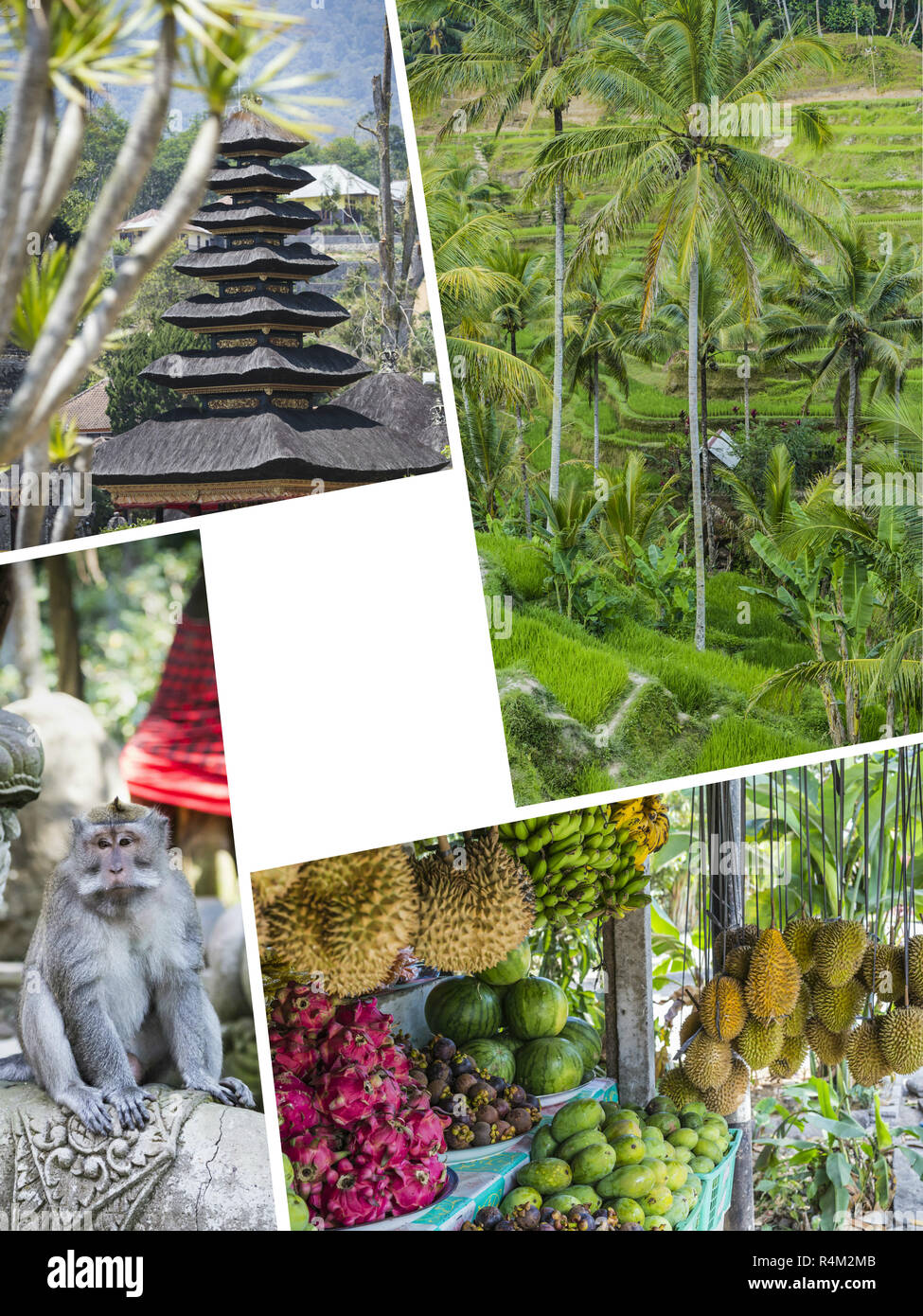 Collage of Bali (Indonesia) images - travel background (my photos Stock ...