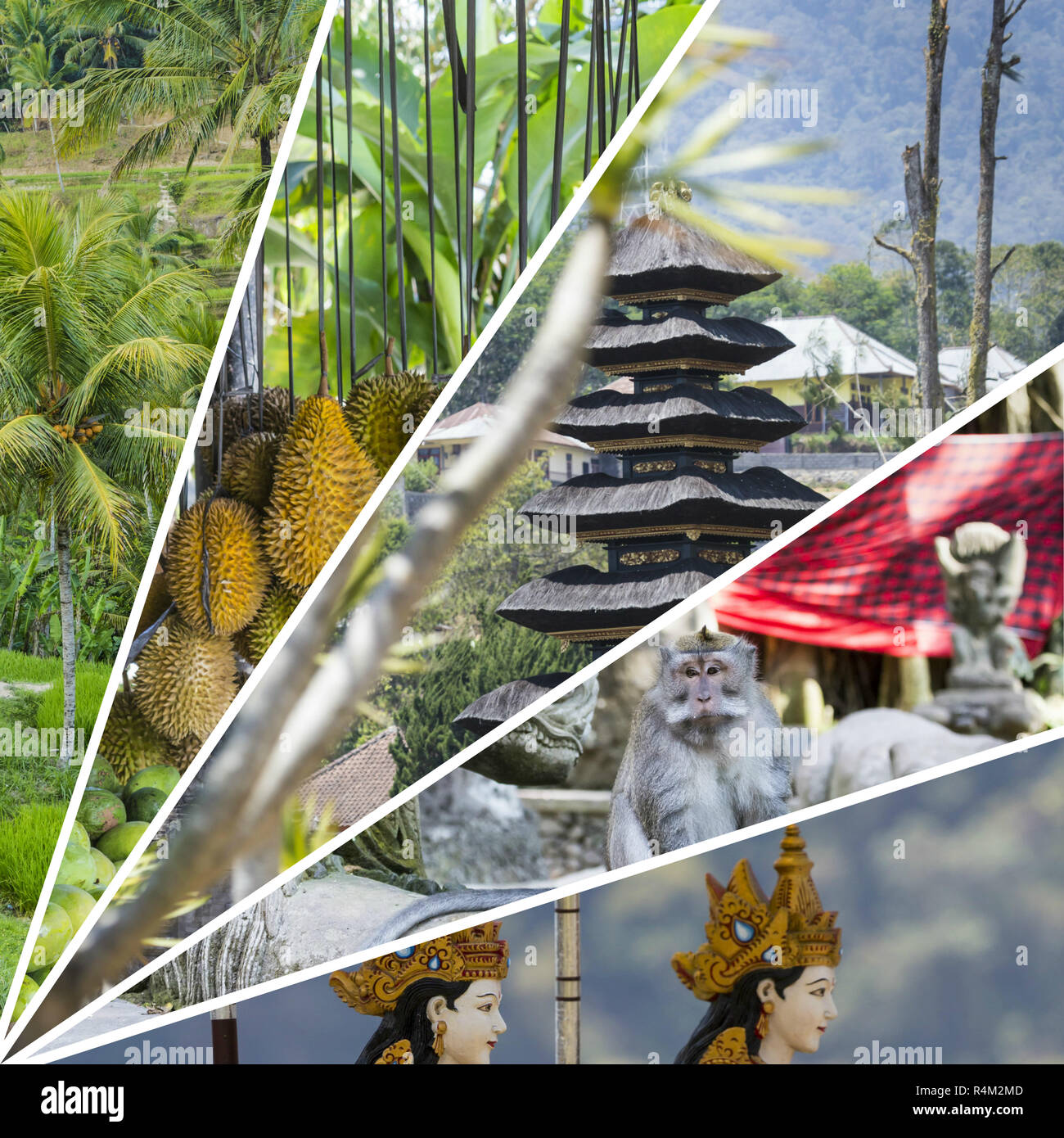 Collage of Bali (Indonesia) images - travel background (my photos Stock ...