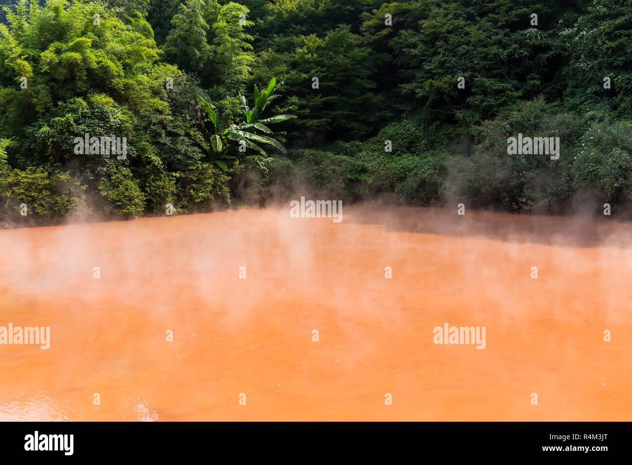 Bloody hell pond hi-res stock photography and images - Alamy
