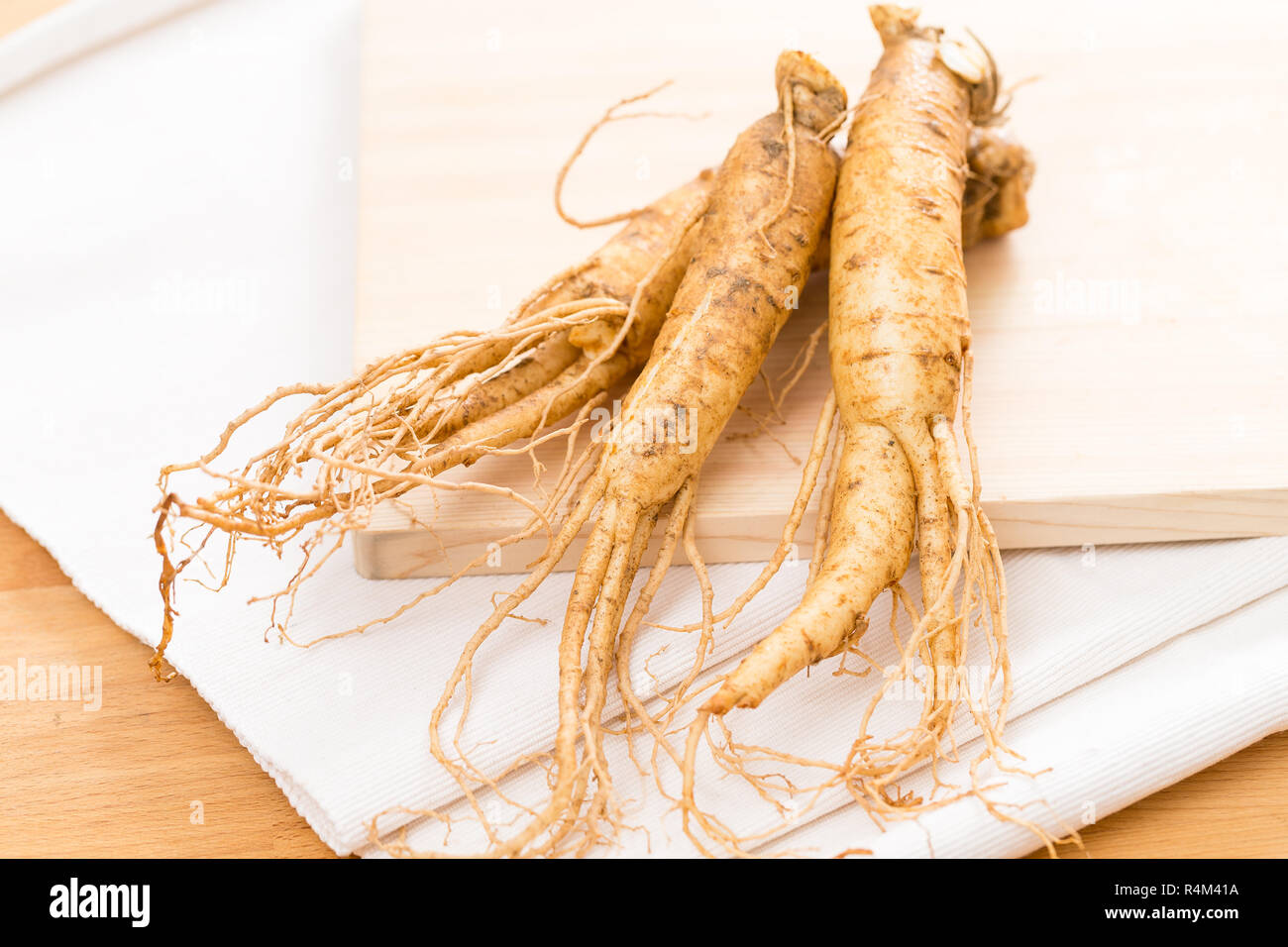 Fresh ginseng root Stock Photo - Alamy