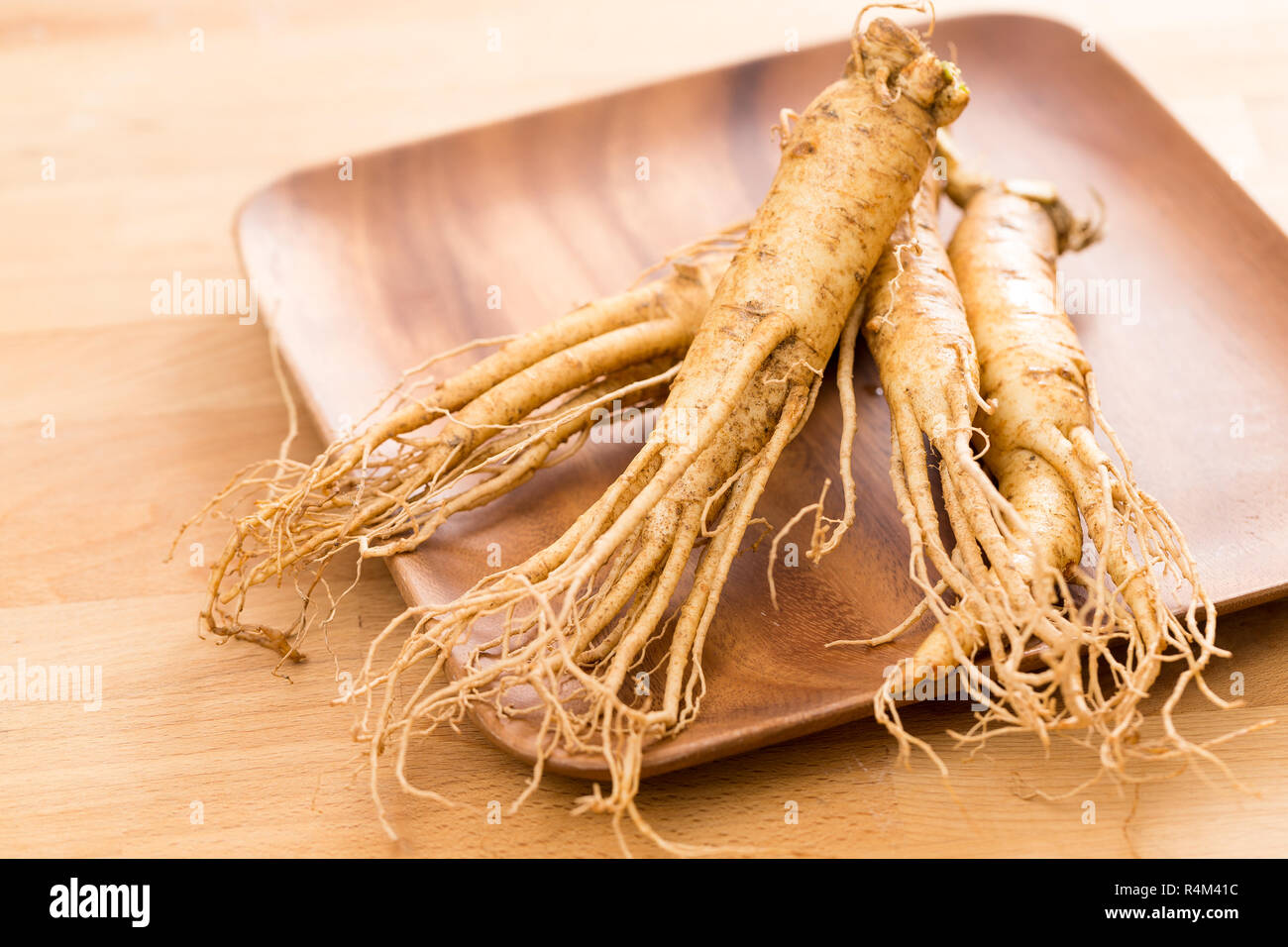 Fresh korean ginseng Stock Photo - Alamy