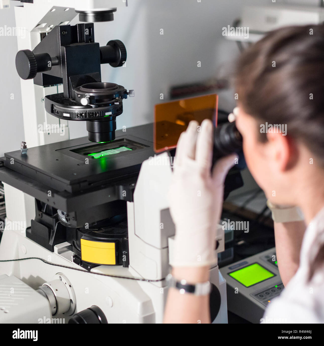 Life science researcher microscoping in genetic scientific laboratory ...
