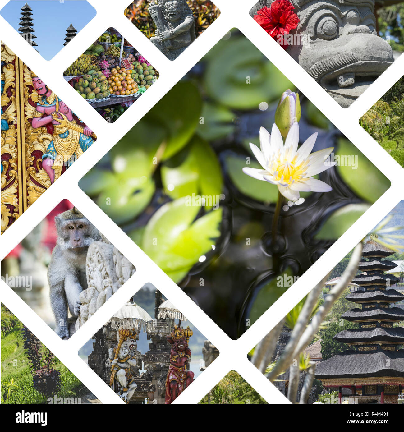 Collage of Bali (Indonesia) images - travel background (my photos Stock ...