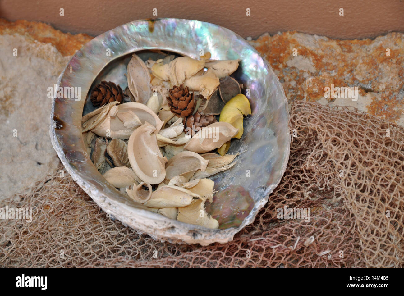 decoration with shell Stock Photo - Alamy