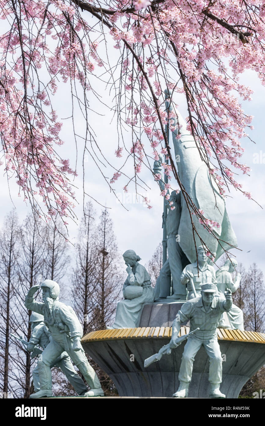 seoul national cemetery under cherry blossoms Stock Photo - Alamy