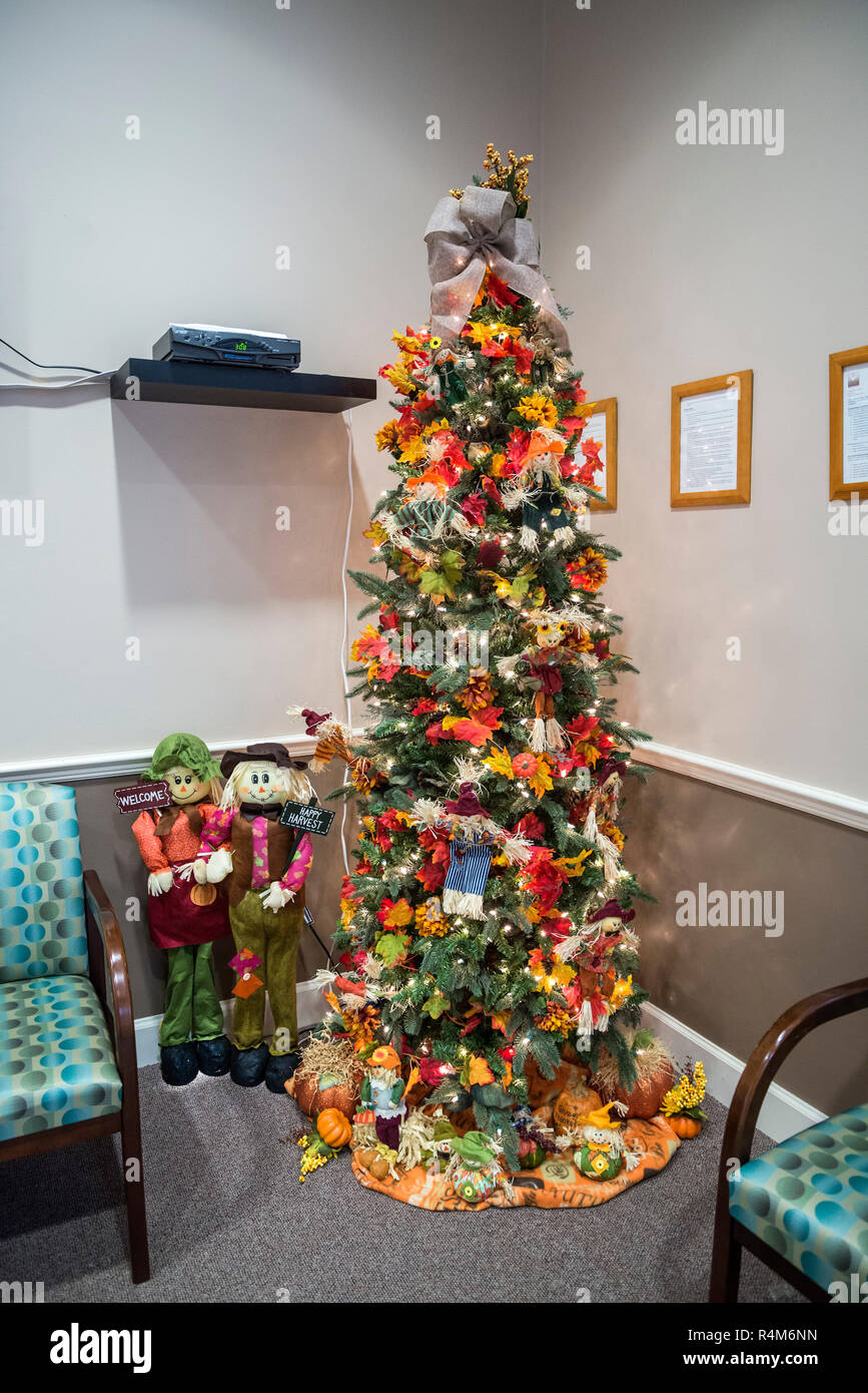 Harvest Tree sits decorated in the corner of a doctor's office Stock ...