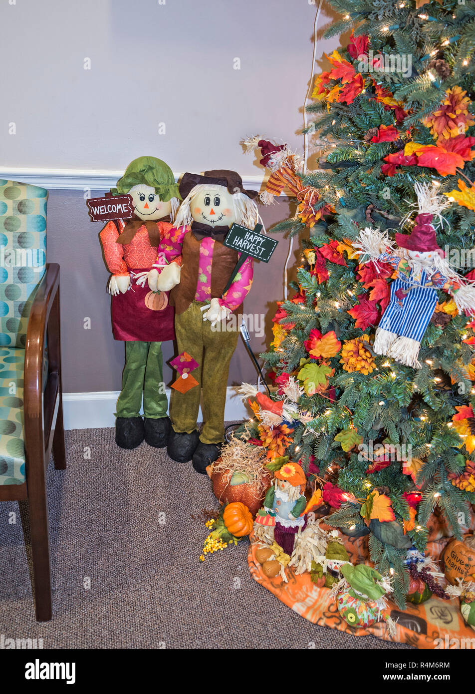 Harvest Tree sits decorated in the corner of a doctor's office Stock ...