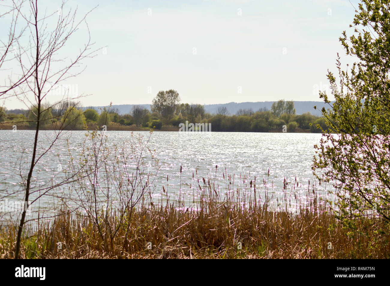 View of the lake of Madine Stock Photo - Alamy