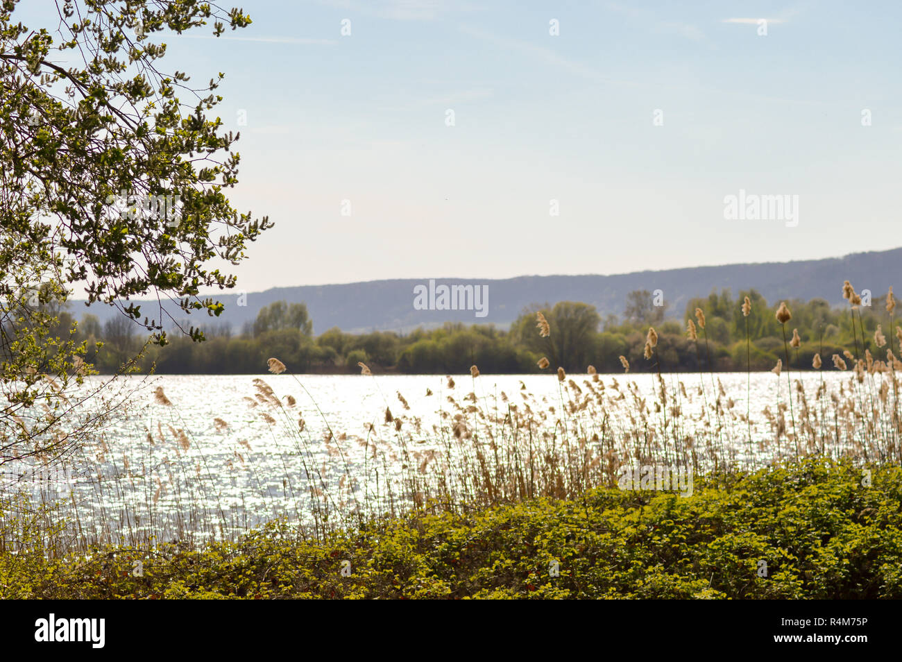 View of the lake of Madine Stock Photo - Alamy