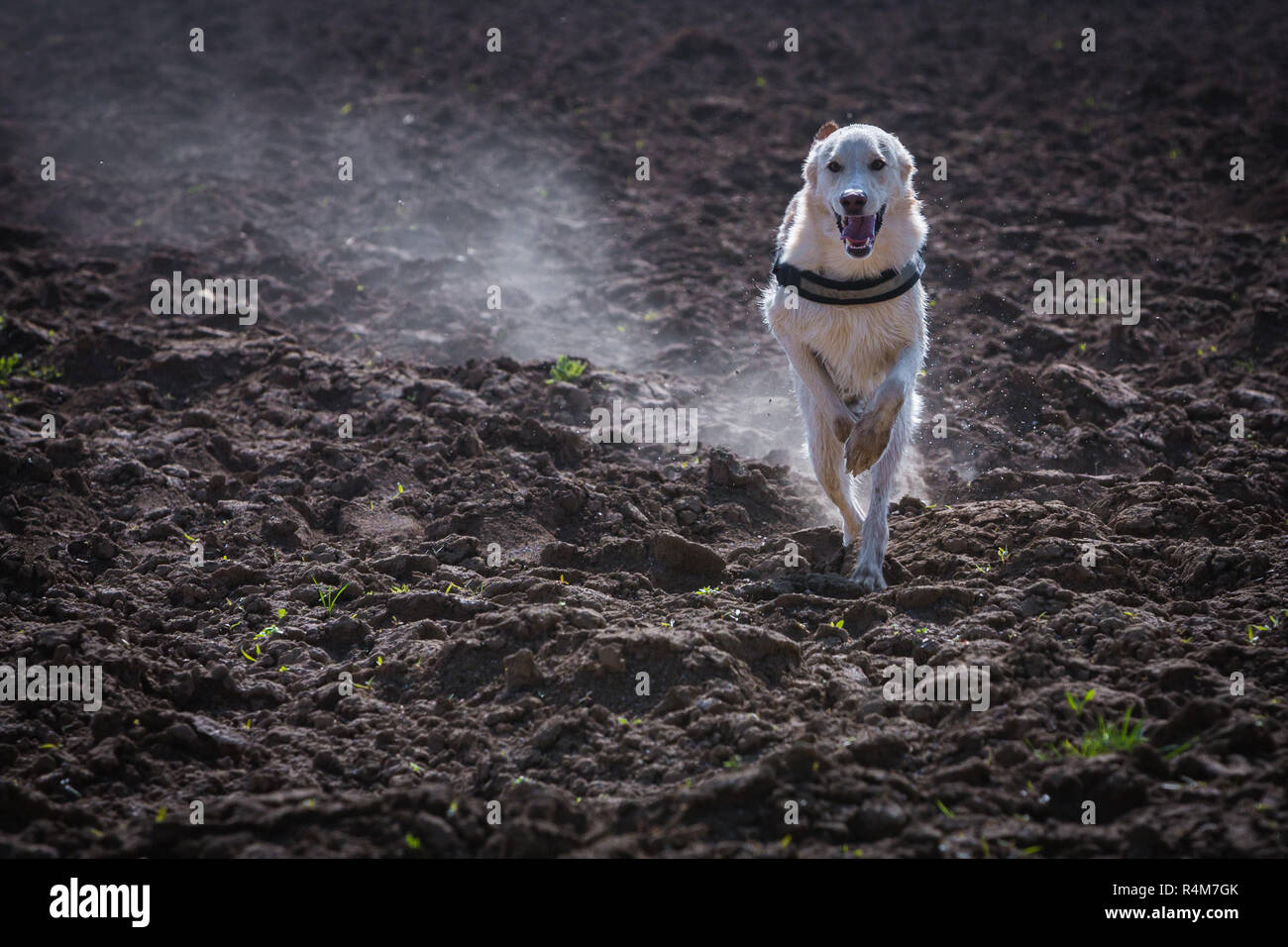 Mano game hi-res stock photography and images - Alamy