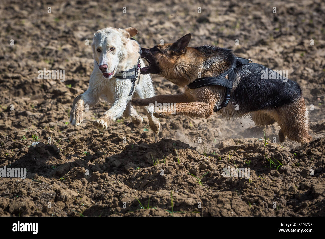Mano game hi-res stock photography and images - Alamy