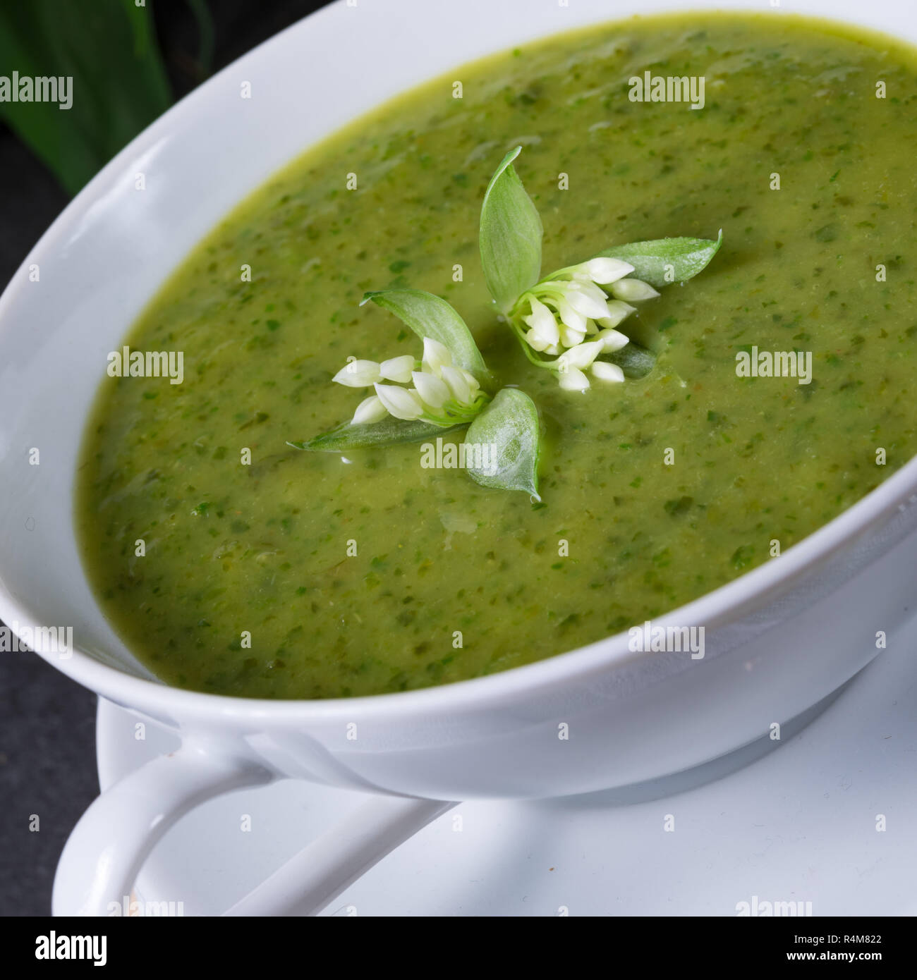 Gypsy weed hi-res stock photography and images - Alamy