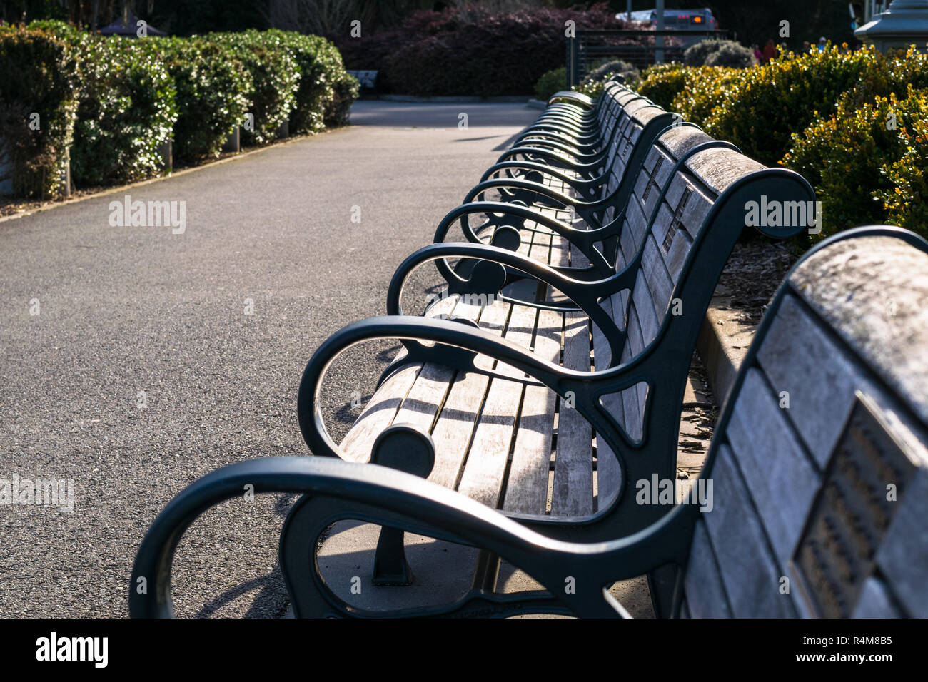 Benches in the Golden Gate Park of San Francisco a sunny day Stock ...