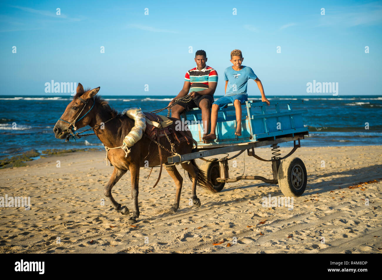CAIRU, BRAZIL - CIRCA FEBRUARY, 2018: A mule pulls a wooden cart along ...