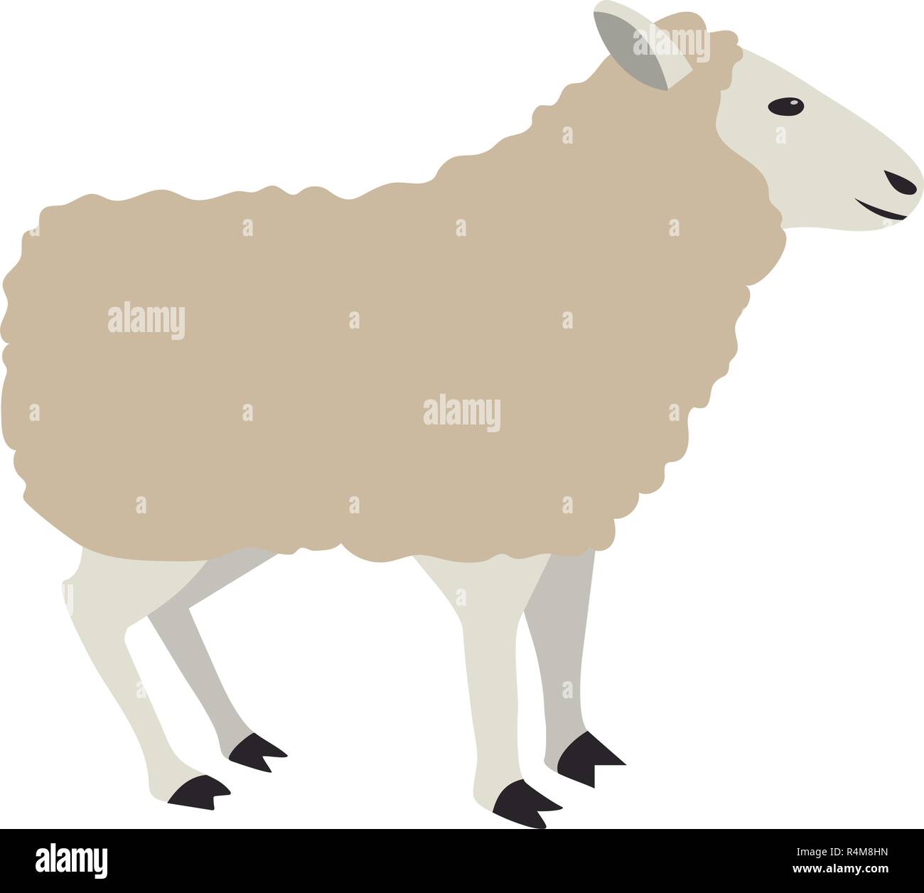 mammal sheep animal cartoon vector illustration graphic design Stock ...