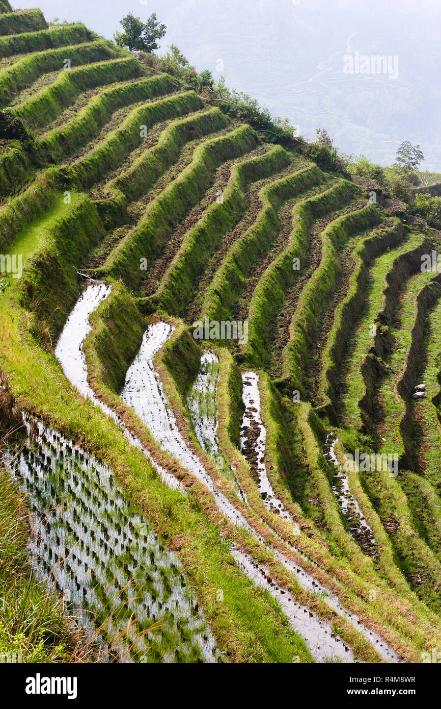 Longji china hiking hi-res stock photography and images - Alamy