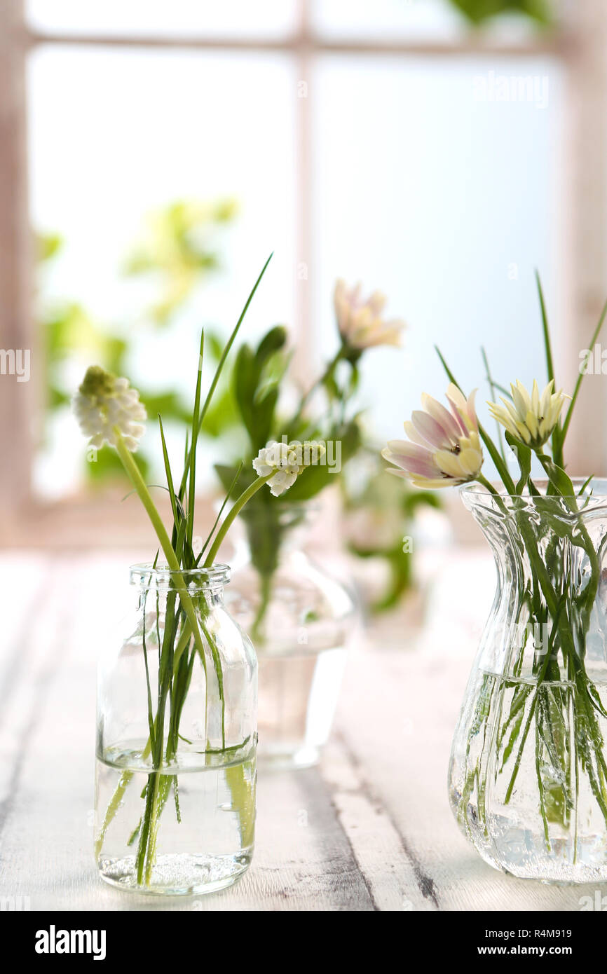 vases in front of a window in vintage look Stock Photo - Alamy