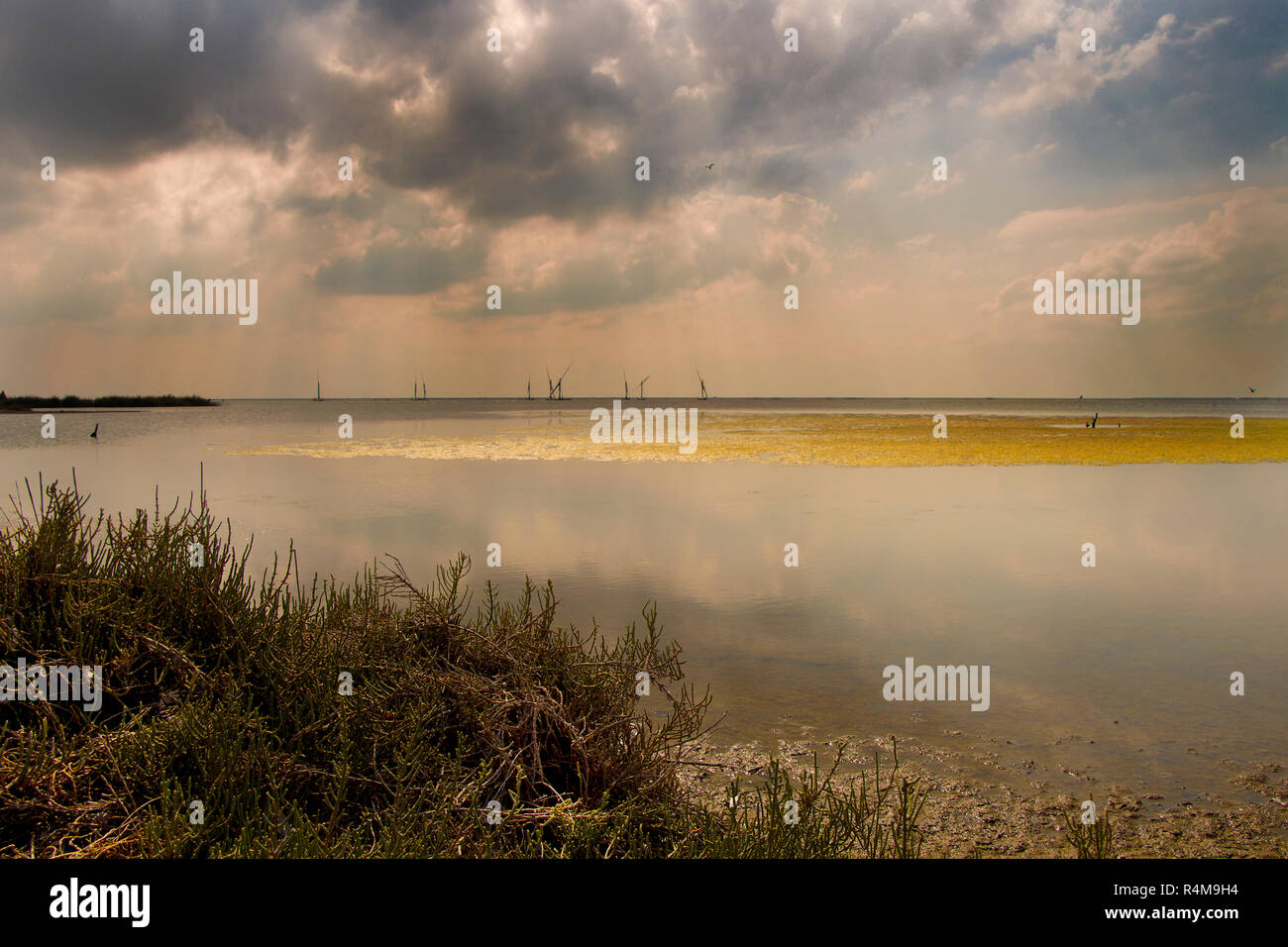 Burullus hi-res stock photography and images - Alamy