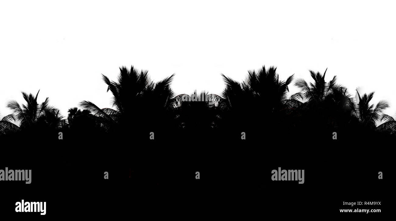 Realistic silhouette of tree top Stock Photo - Alamy