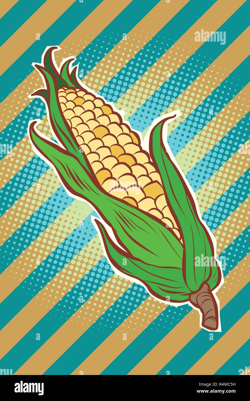 corn maize cob. appetizing vegetarian product. Comic cartoon pop art ...