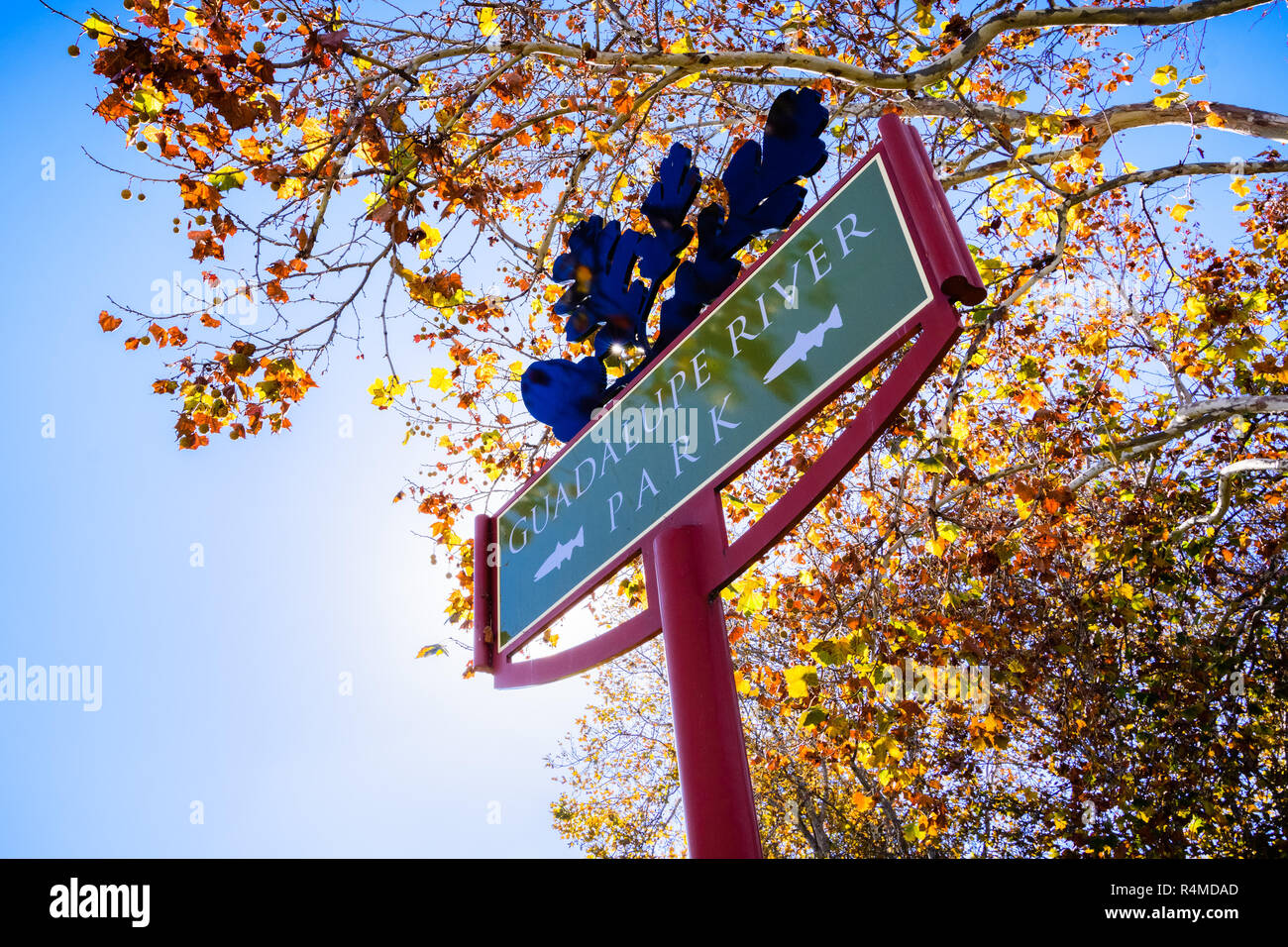 Guadalupe river park hi-res stock photography and images - Alamy