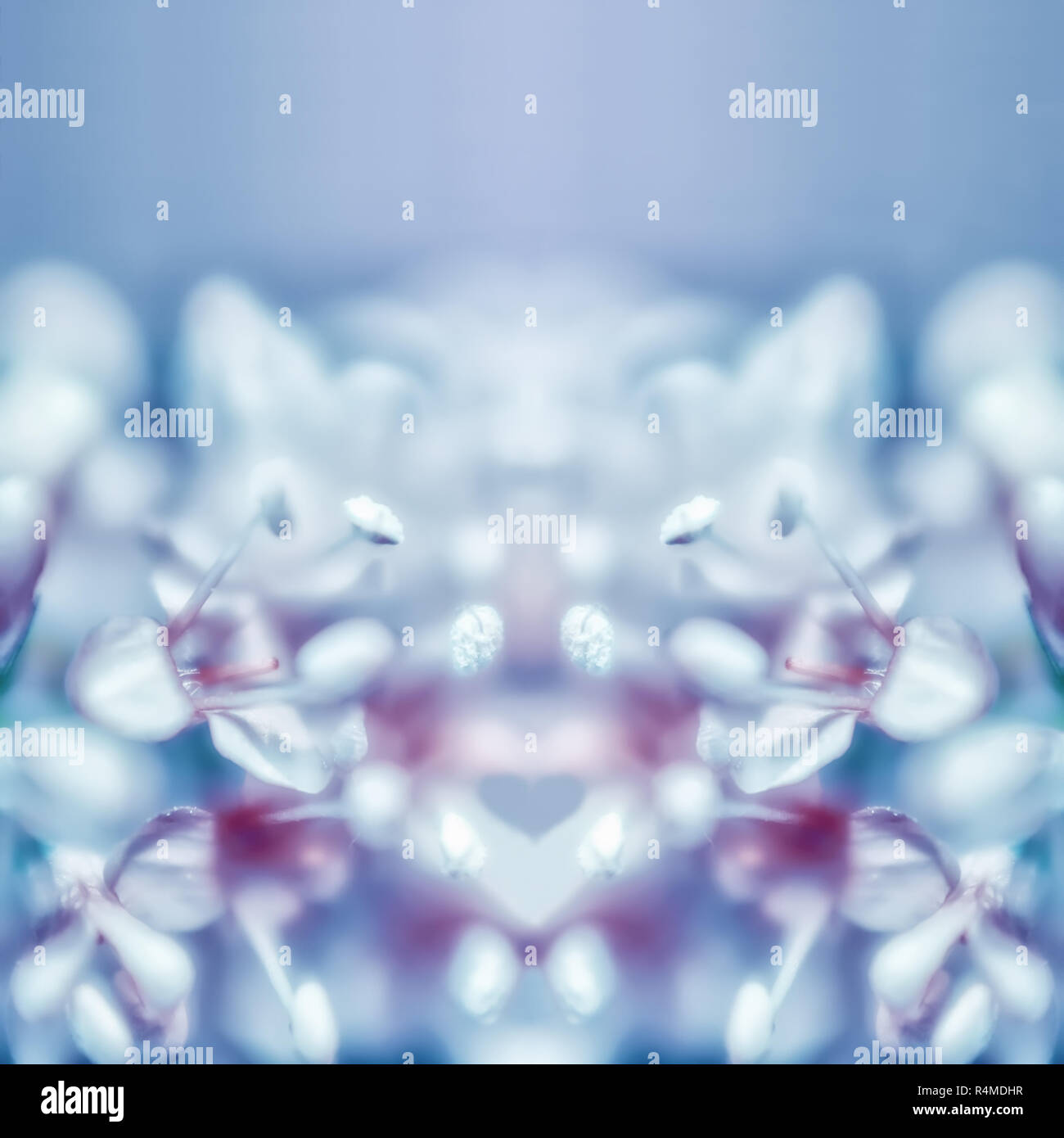 Abstract Blue Floral Mirror Background Stock Photo - Alamy