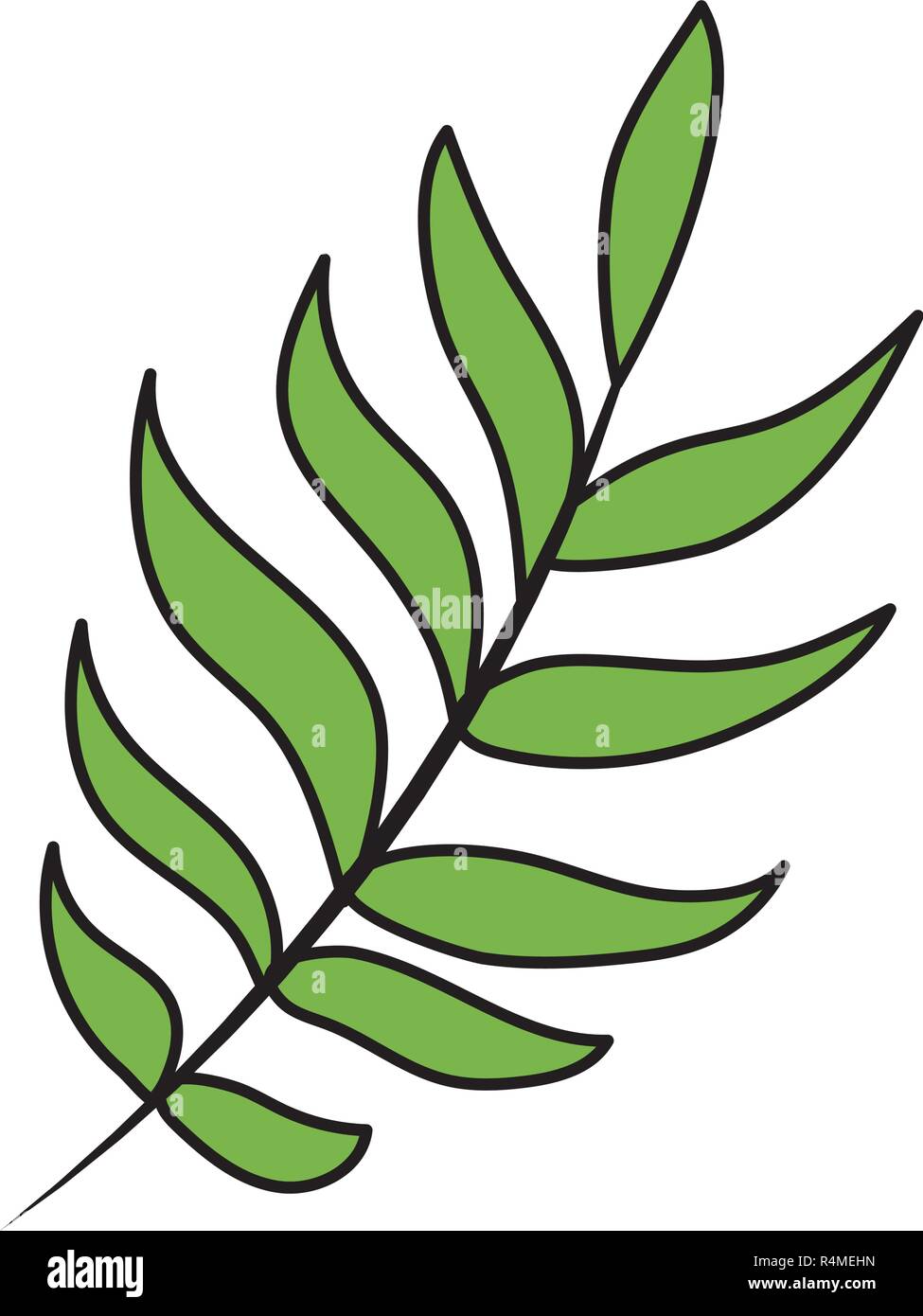 tropical palm leaf cartoon vector illustration graphic design Stock ...