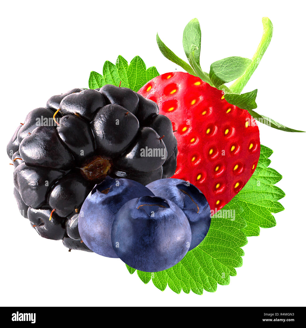 Isolated berries with leaf on white background Stock Photo - Alamy