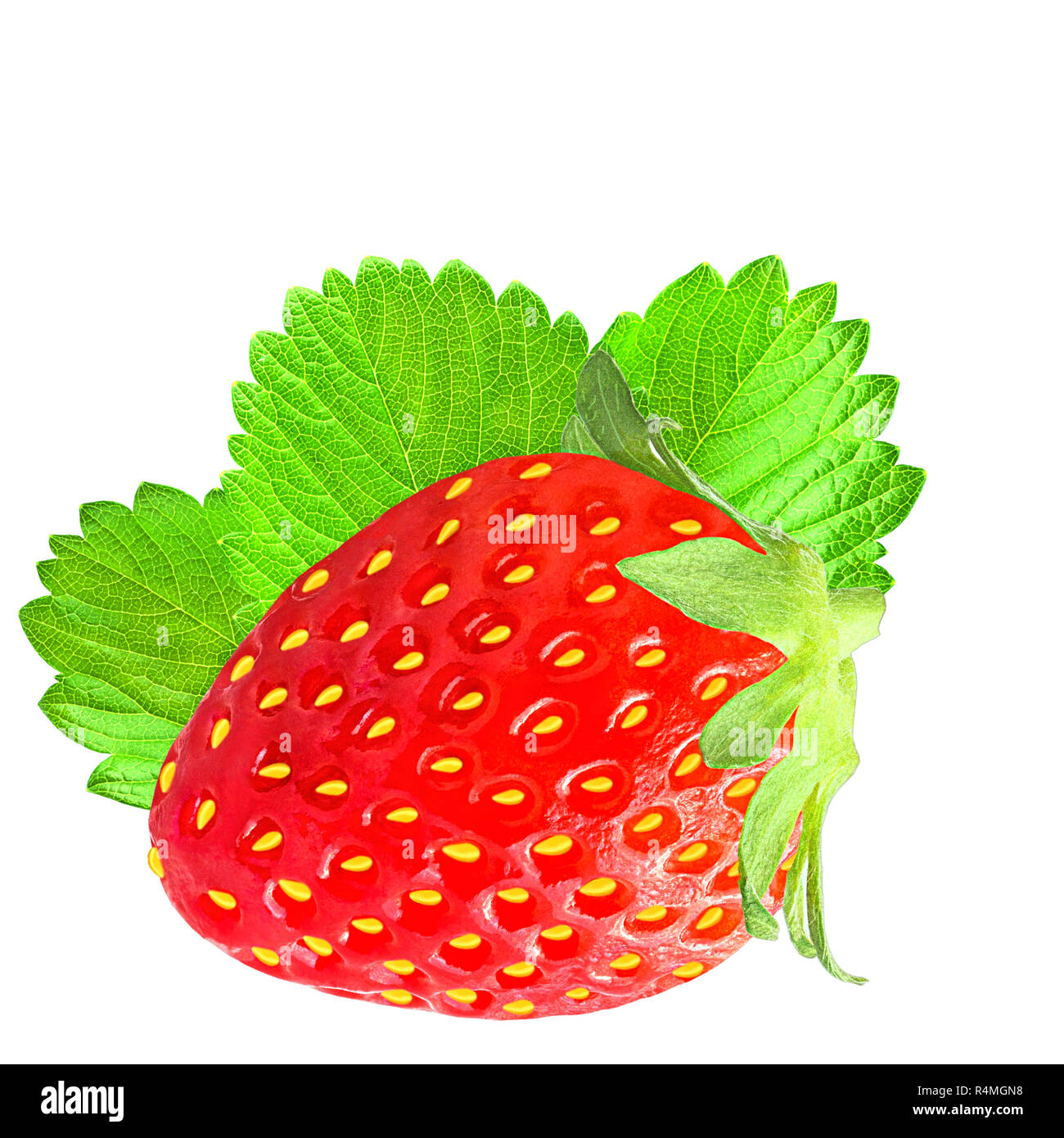 One strawberry with leaf isolated on white background Stock Photo - Alamy