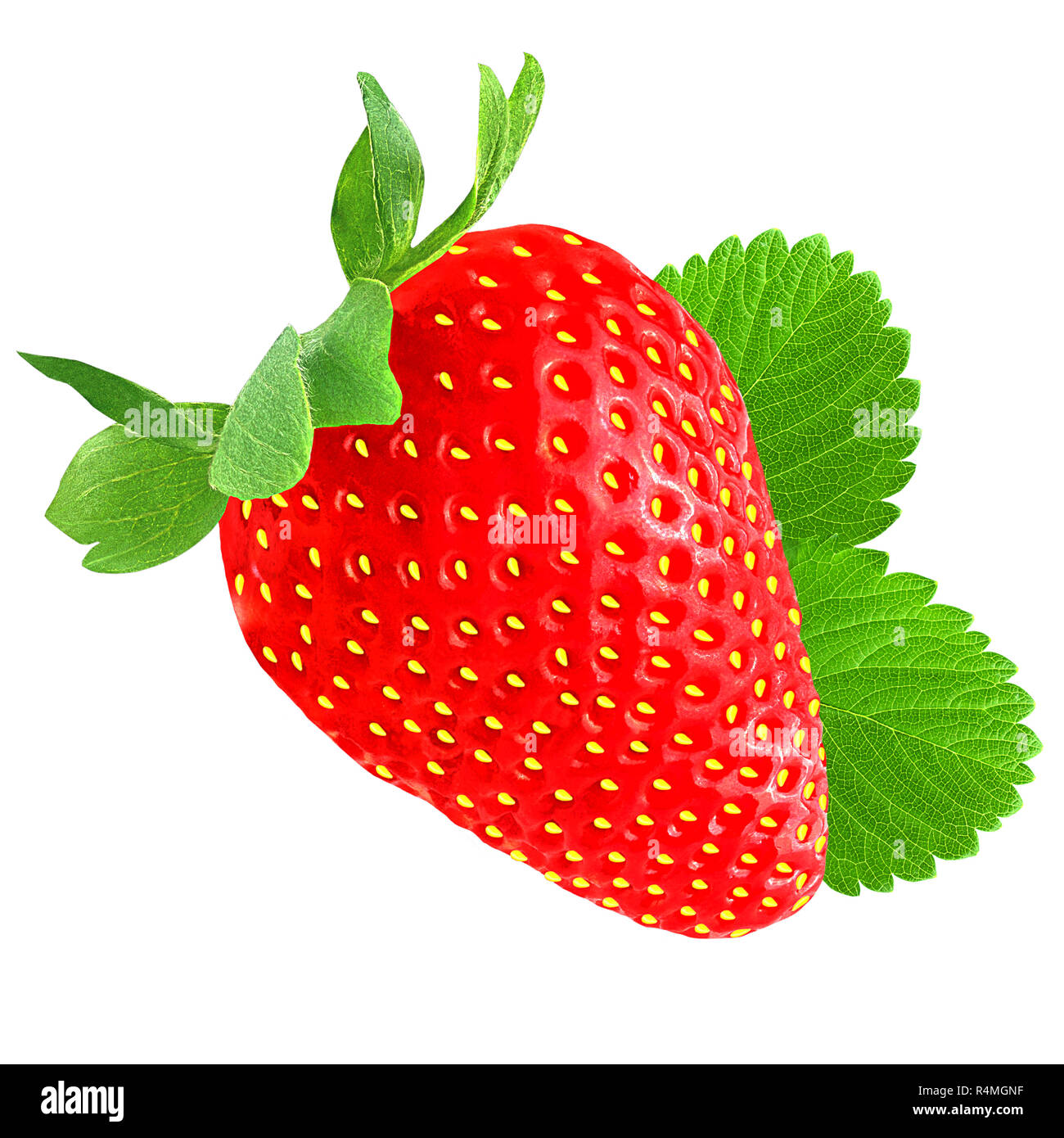 Strawberry with leaf isolated on white Stock Photo - Alamy