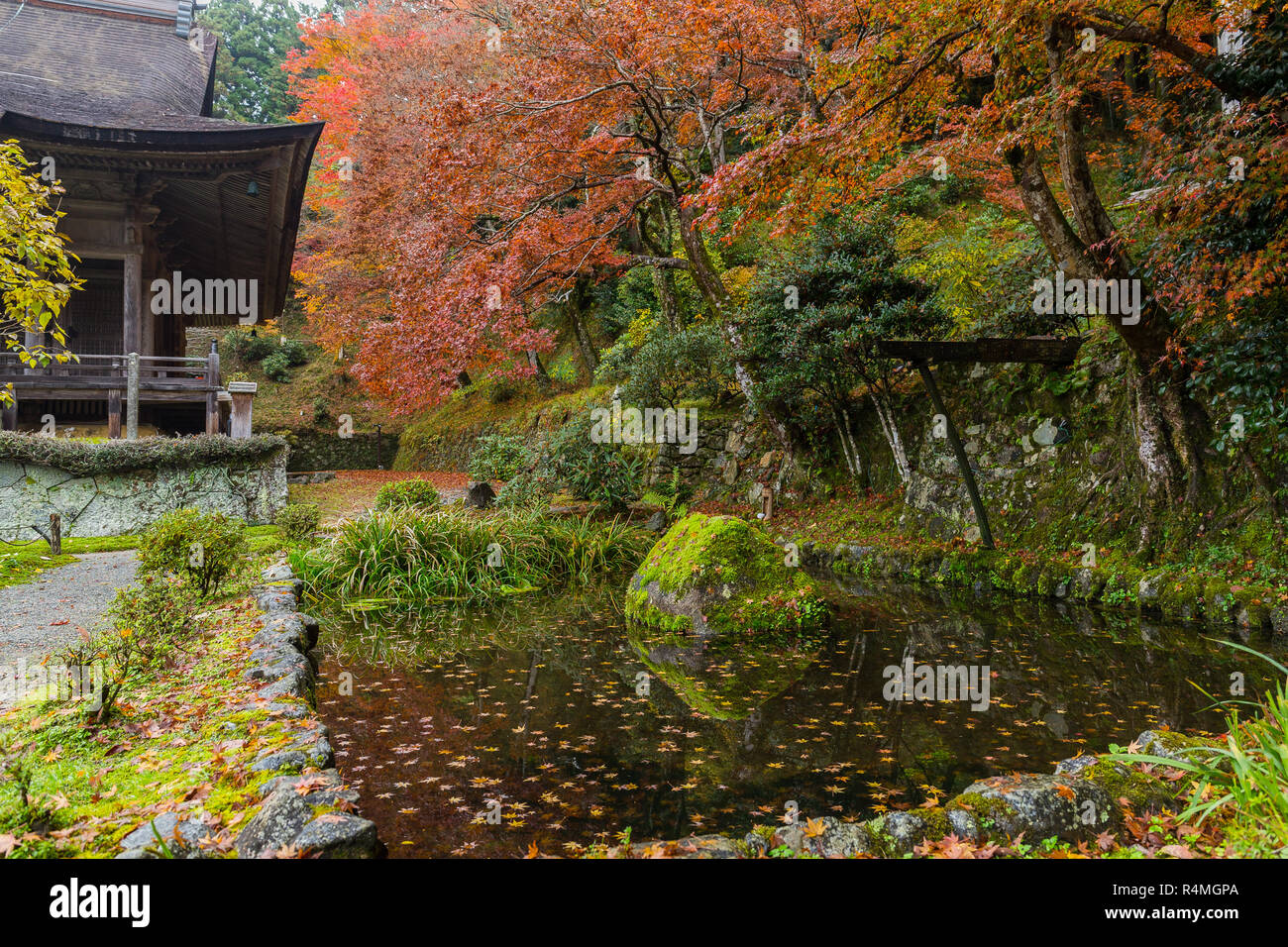 Beautiful Japanese park in autumn Stock Photo - Alamy