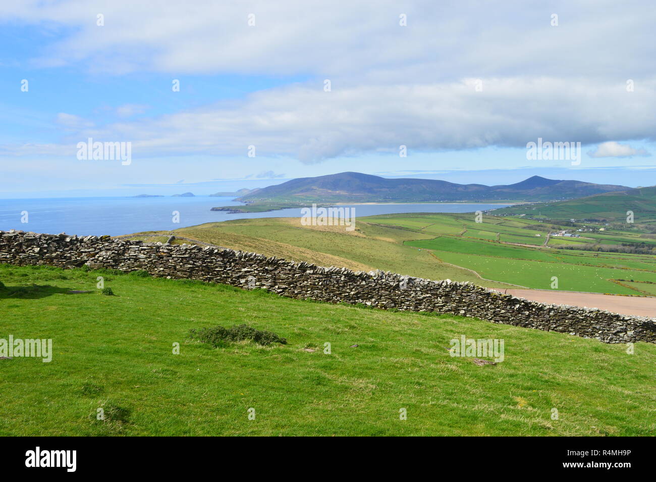 Typical Irish green landscape with coastline and small wall Stock Photo ...