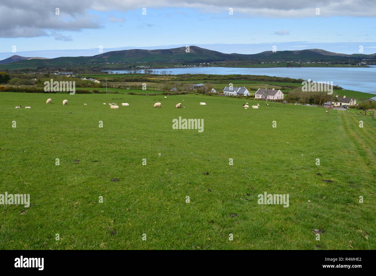Typical Irish green landscape with coastline Stock Photo - Alamy