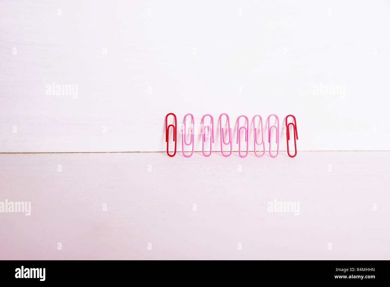 office supplies.The composition row of multi-colored paper clips on pnk ...