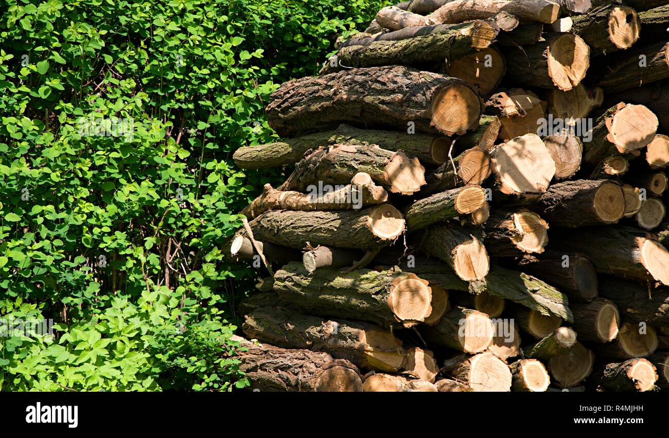 Log pile garden pine hi-res stock photography and images - Alamy