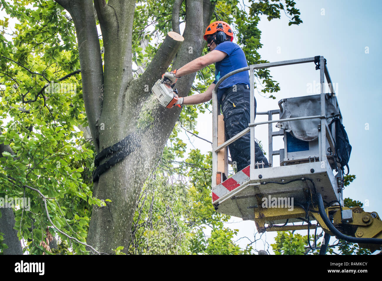 Saw cloth hi-res stock photography and images - Alamy