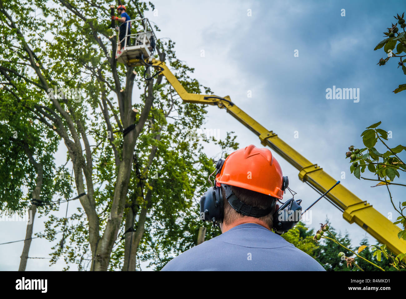Saw cloth hi-res stock photography and images - Alamy