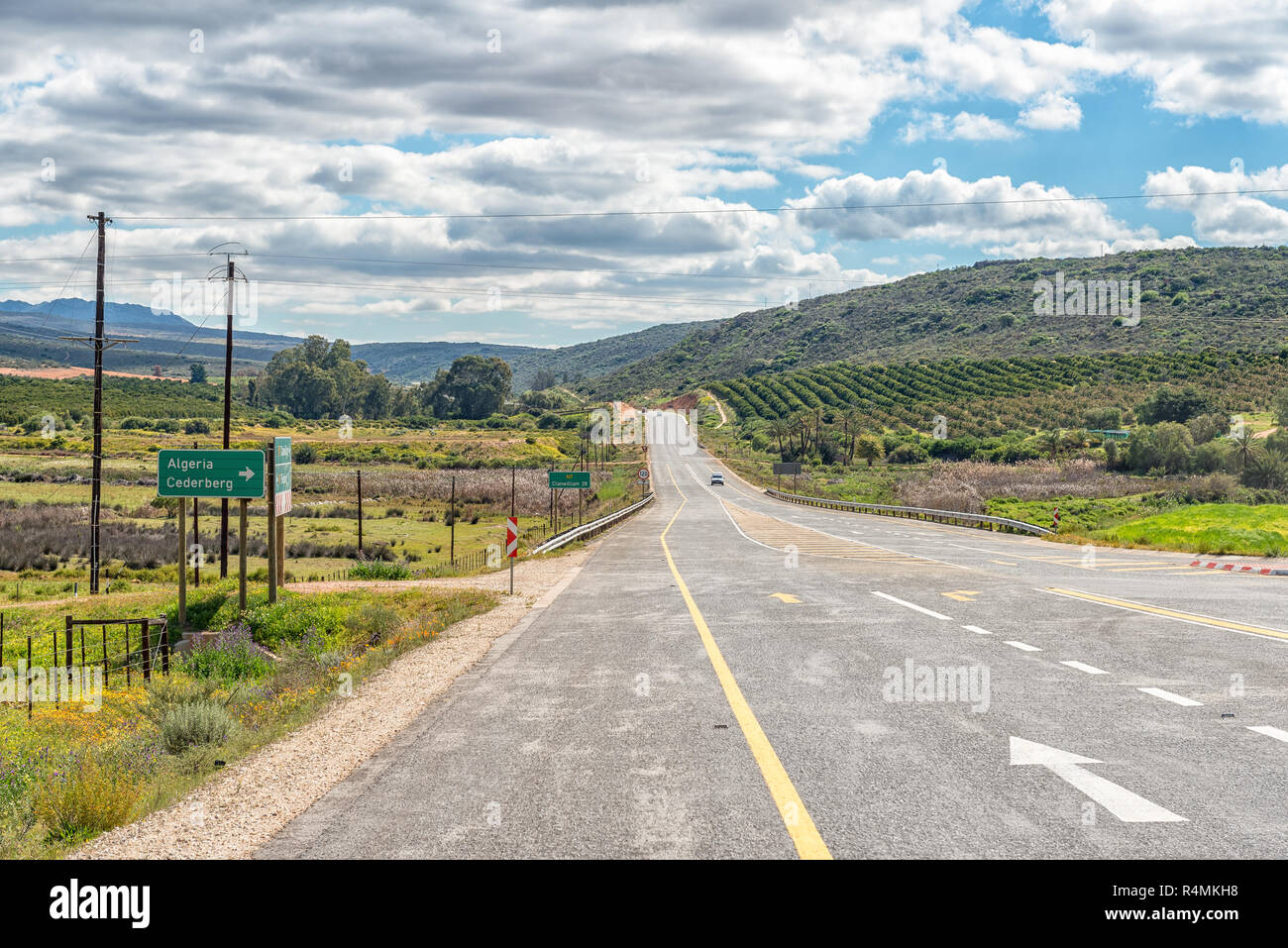 CITRUSDAL, SOUTH AFRICA, AUGUST 22, 2018: A farm scene, with citrus ...