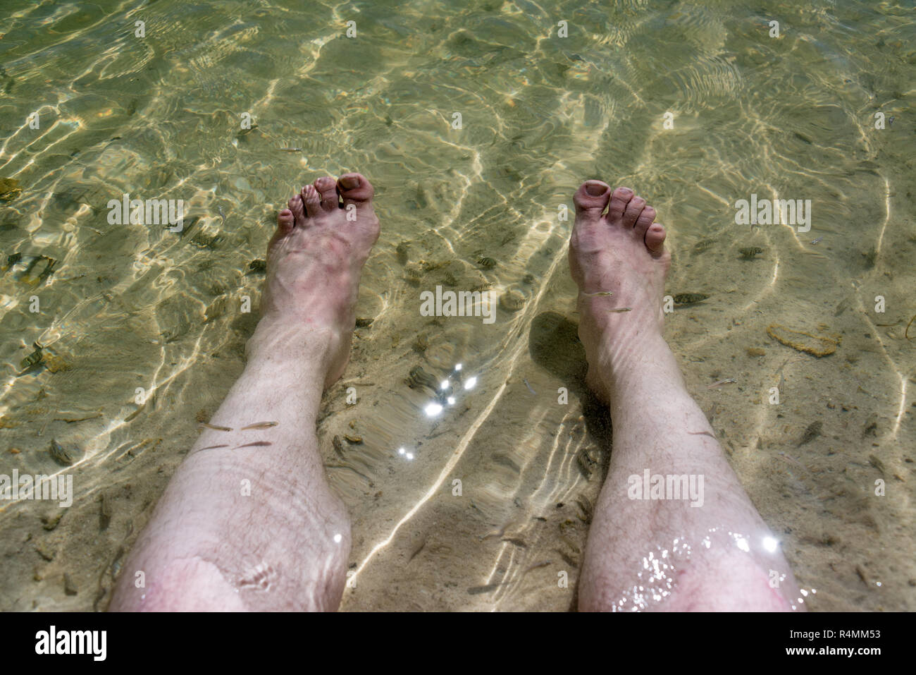 Natural Fish Spa Stock Photo - Alamy