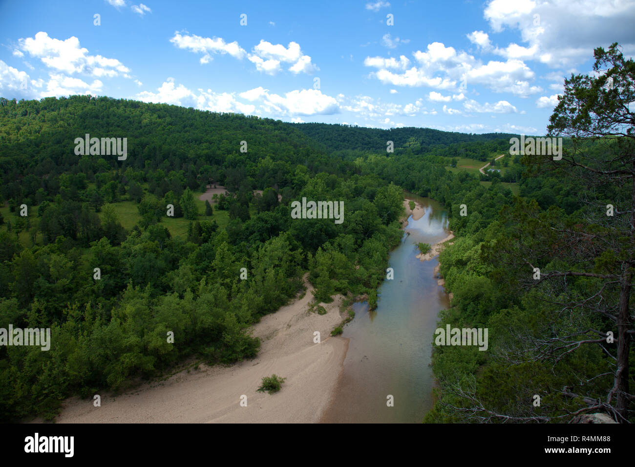 The Black River Stock Photo - Alamy
