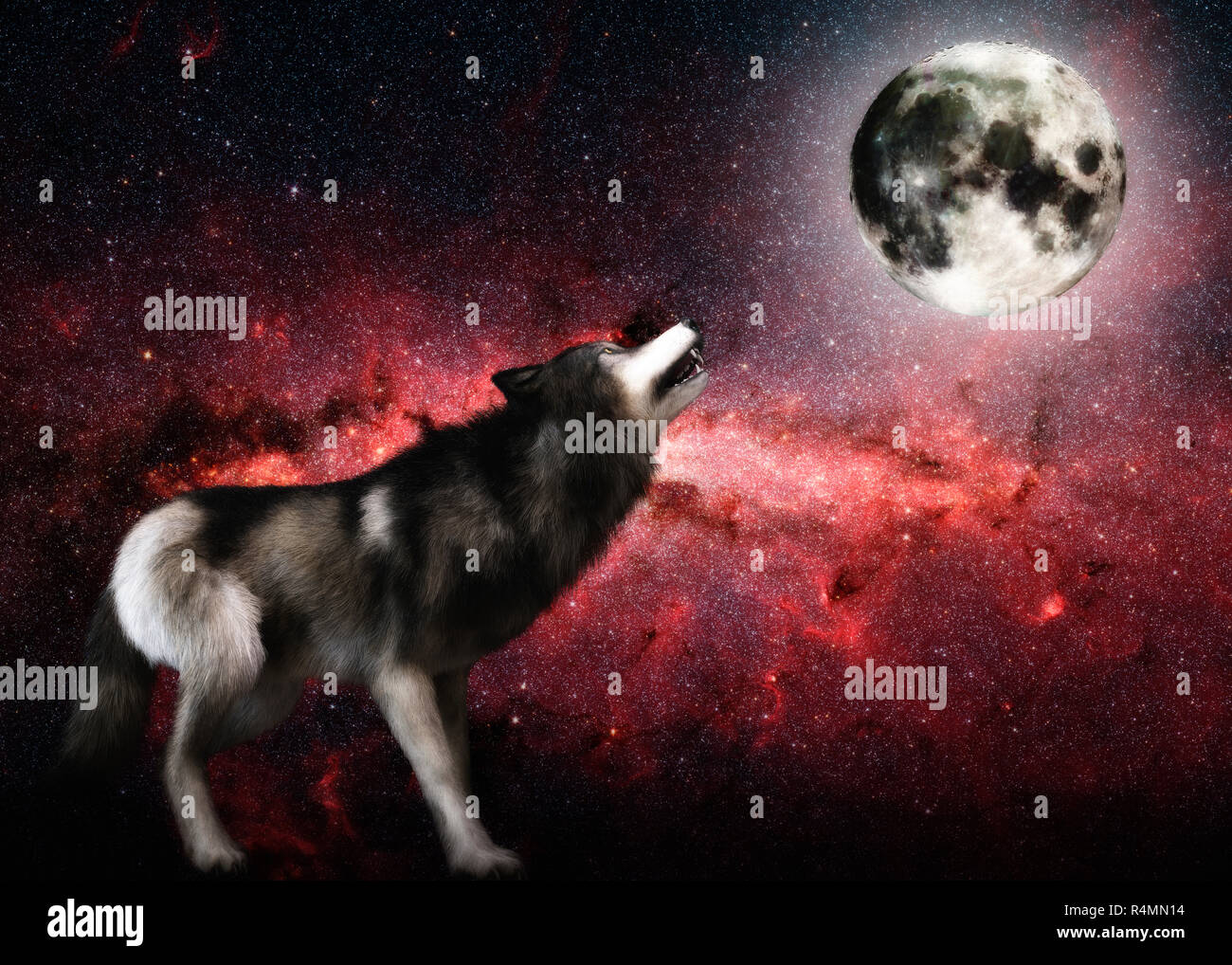 Digital 3D Illustration of a Wolf, Elements by NASA Stock Photo - Alamy