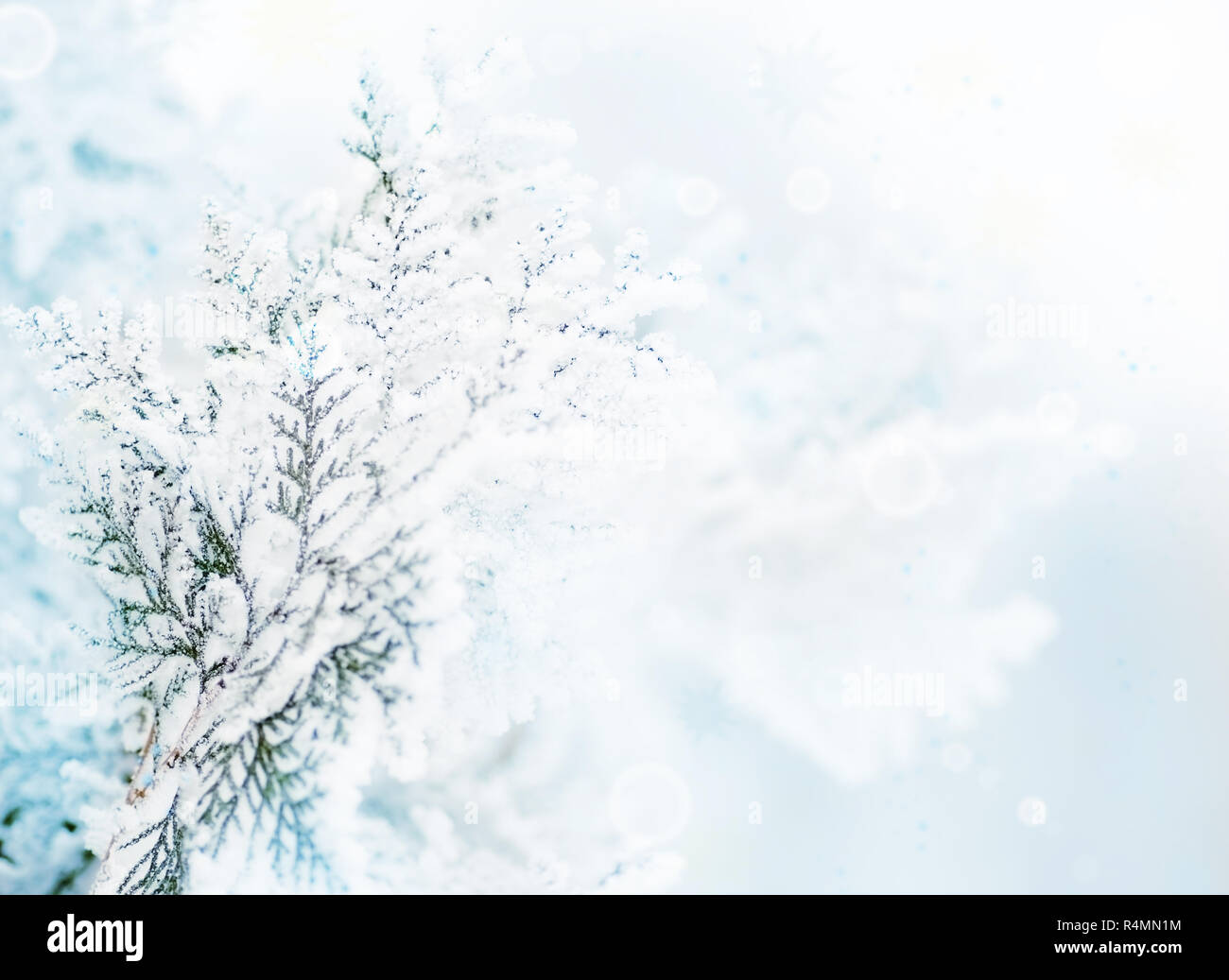 Beautiful frozen branch realistic cold hi-res stock photography and ...
